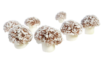 Coconut Mushrooms (150g)