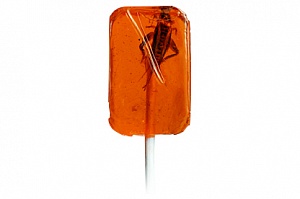 Scorpion Lollipop 4-Pack
